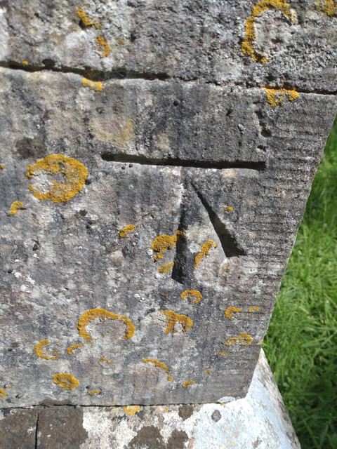 DSC-0869 hosted at ImgBB — ImgBB