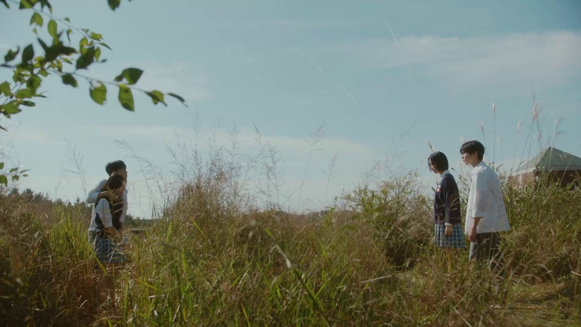 vlcsnap-2023-12-25-09h07m16s141 hosted at ImgBB — ImgBB