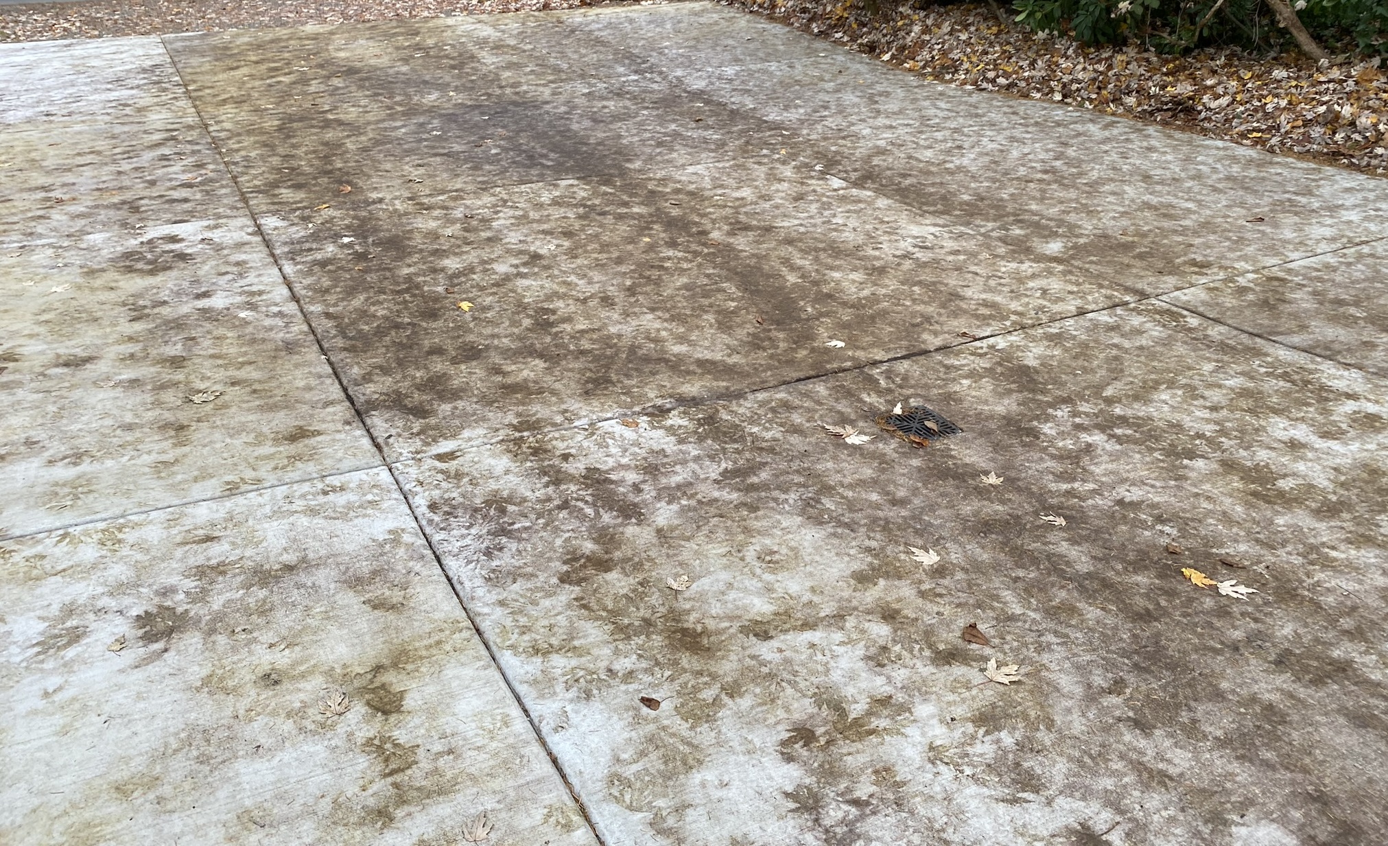 [WA-US] Is it normal for new concrete to get this dirty and not clean ...