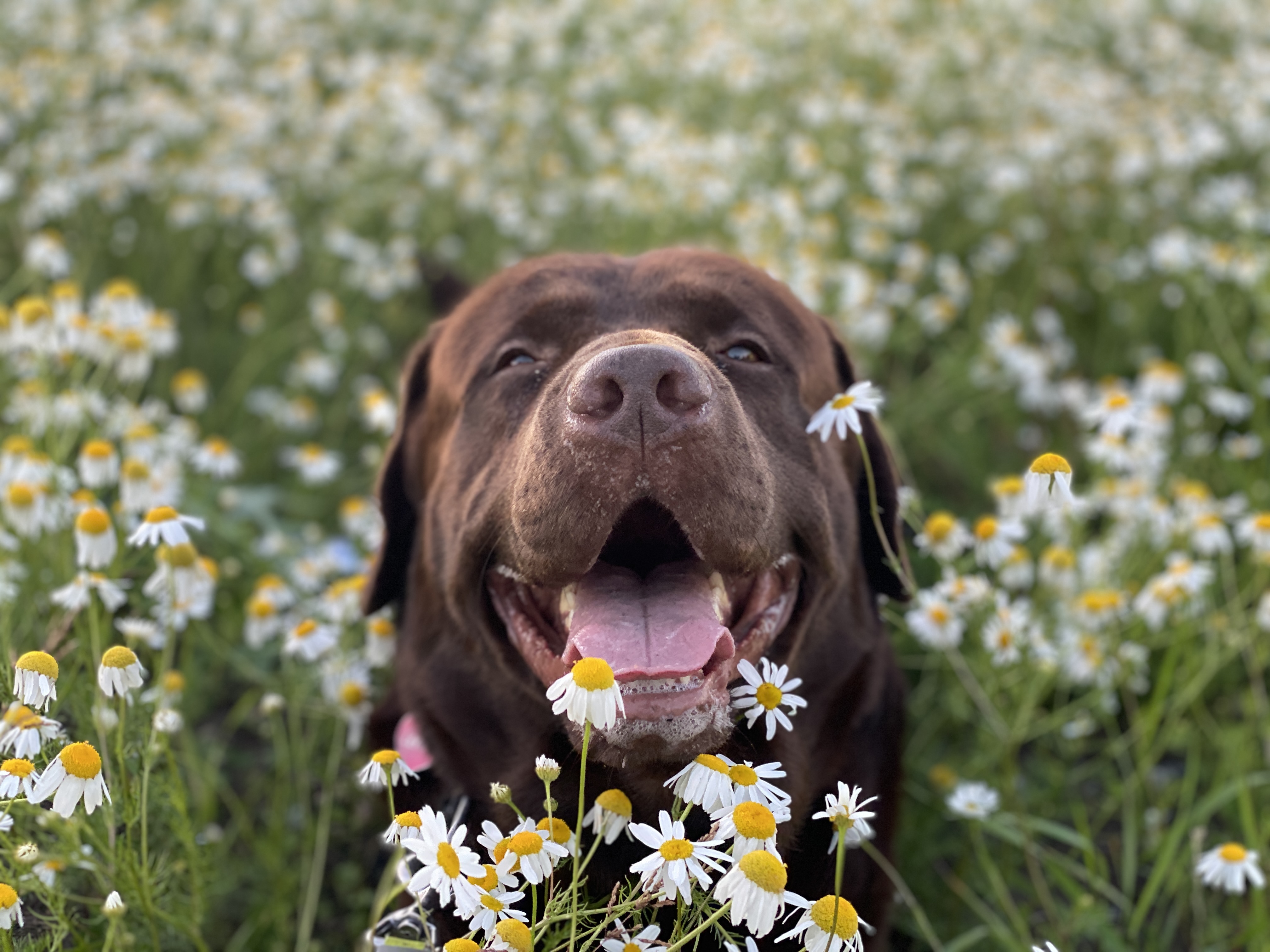 IMG-0131 hosted at ImgBB — ImgBB