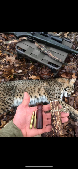 Electronic Predator Call - 24hourcampfire