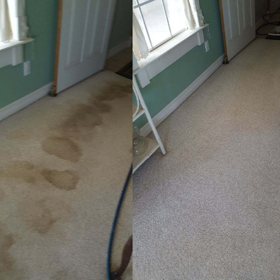 Achieve a Spotless Home with Professional House and Carpet Cleaning ...
