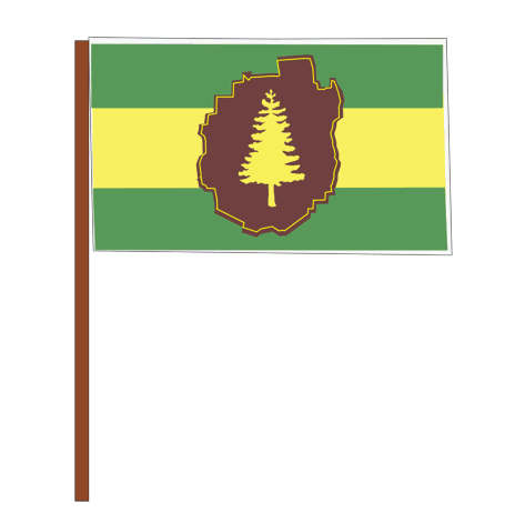 Have you heard of/seen "the" ADK flag? : Adirondacks