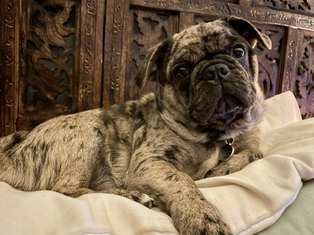 5-B0-EA663-B964-43-F1-A6-C3-591984-C2-E5-BF hosted at ImgBB — ImgBB