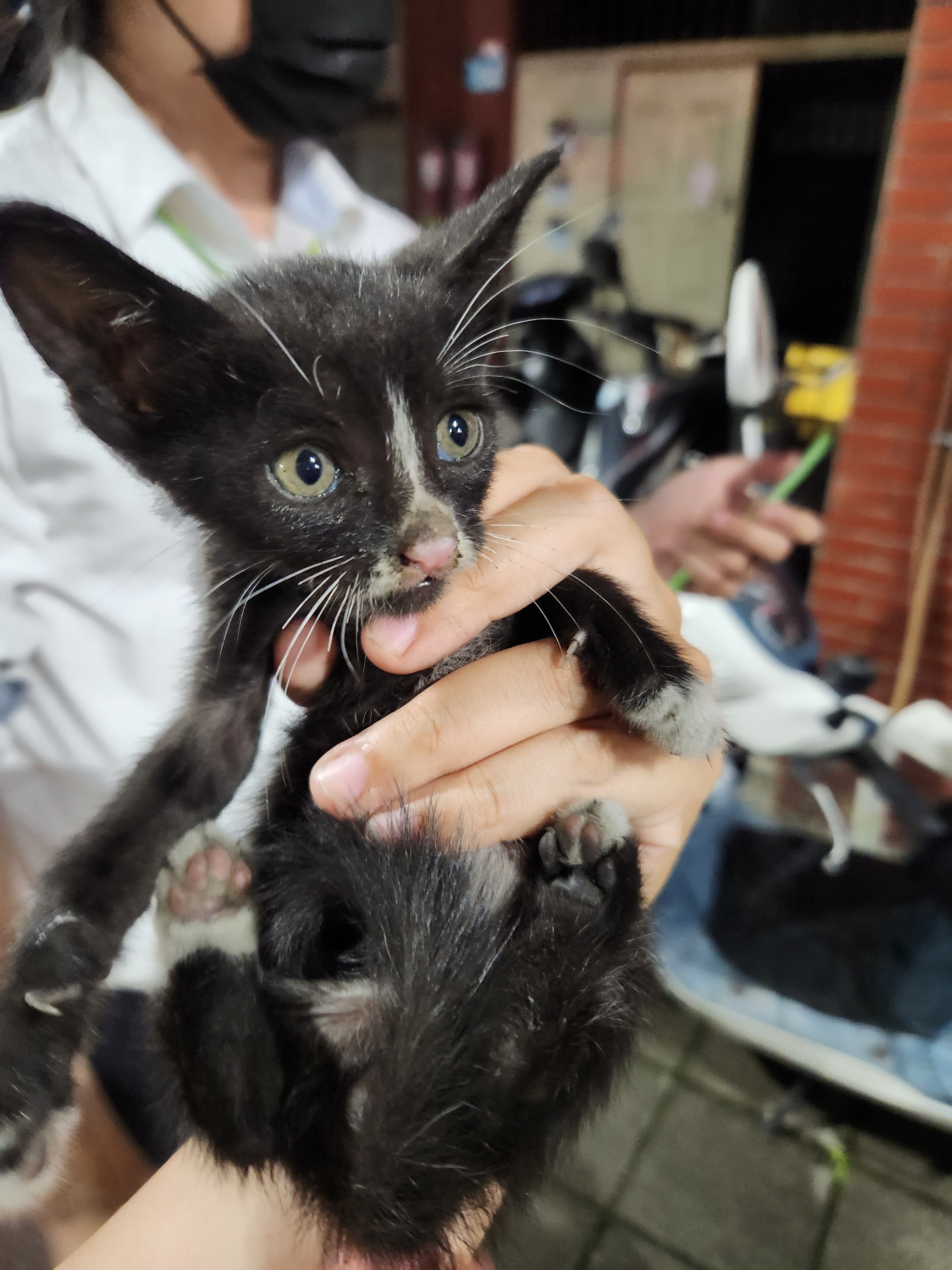 20240618-195502 hosted at ImgBB — ImgBB