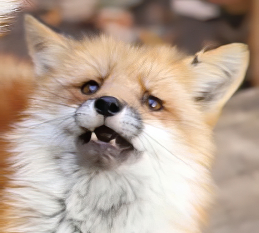 Can someone unblur this ridiculous fox picture I took a few years ago ...