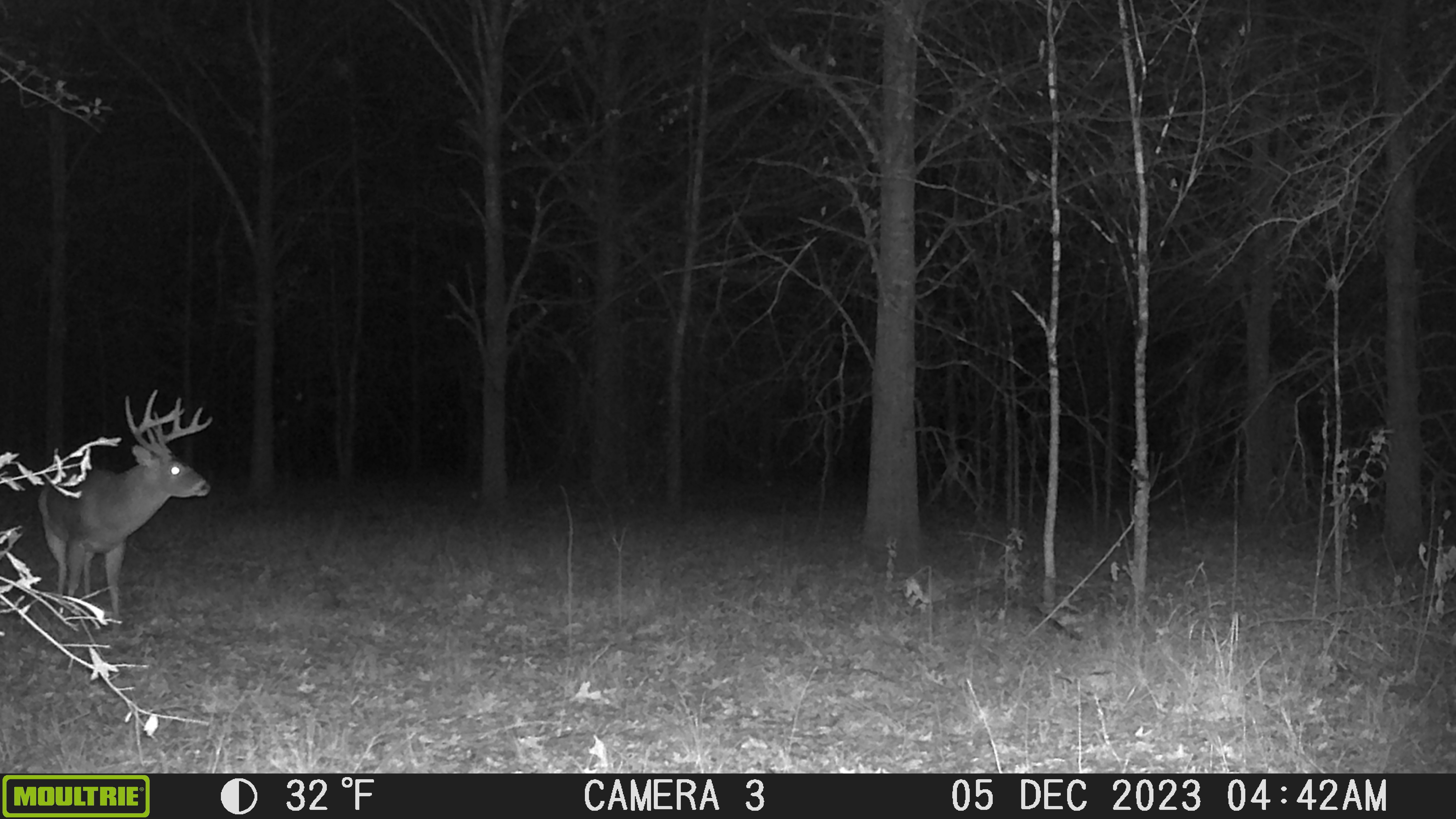 E6-BF67-A3-40-A4-4760-BE01-2-C871-A6-EEF8-B hosted at ImgBB — ImgBB