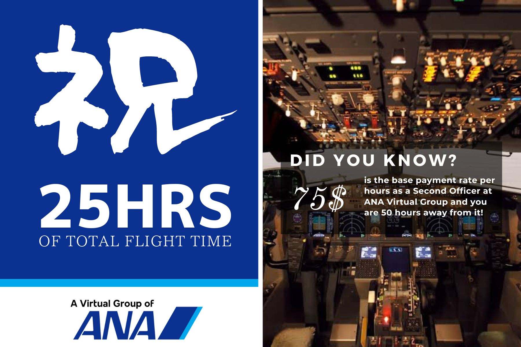 Profile - ANA Virtual Group