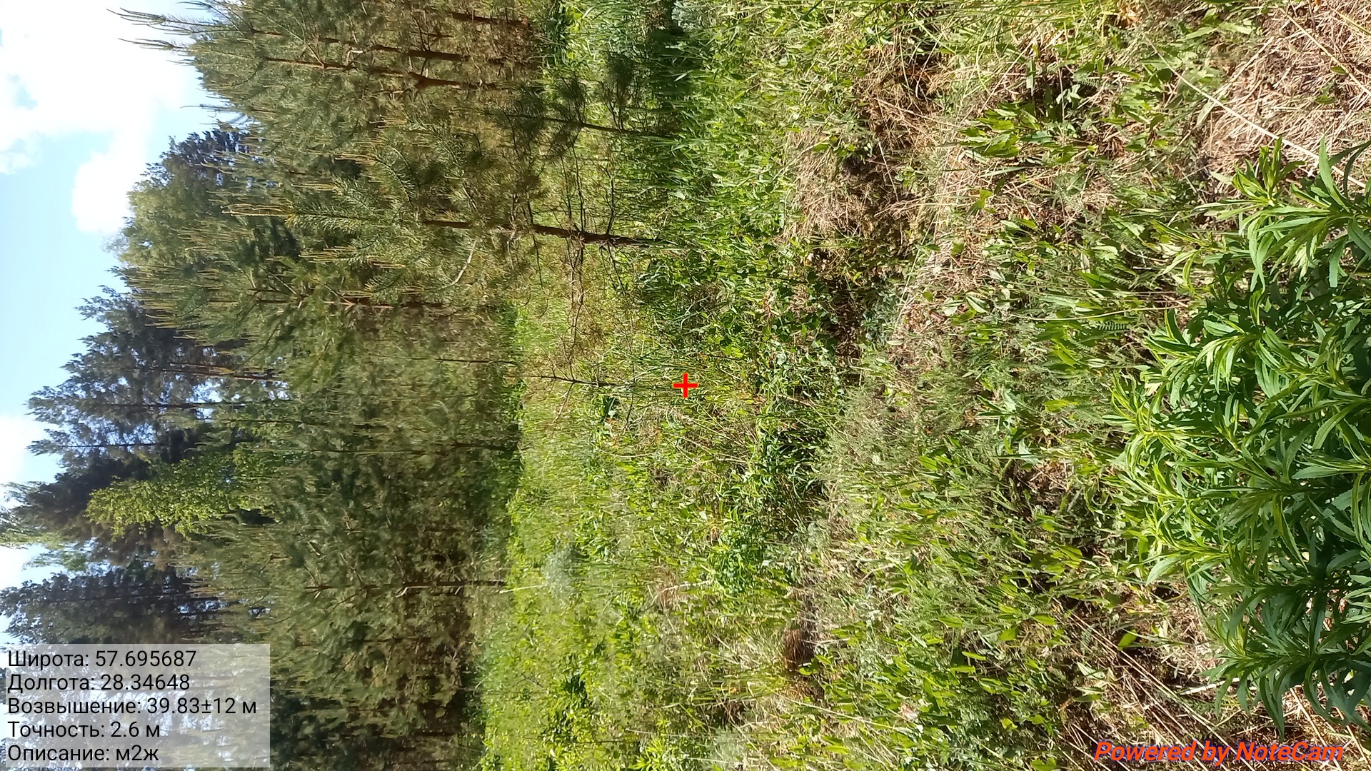 20230605-111314 hosted at ImgBB — ImgBB