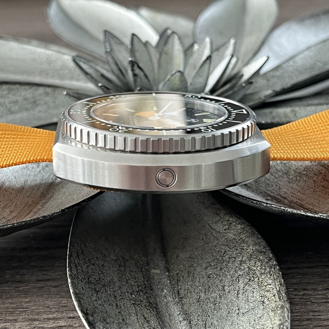 IMG-4463 hosted at ImgBB — ImgBB