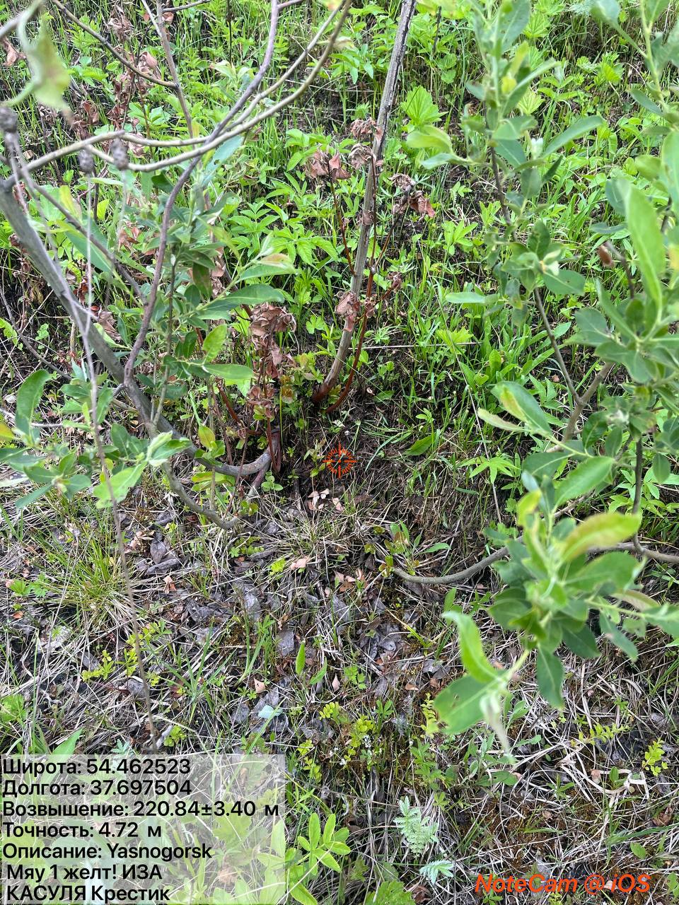 IMG-6736 hosted at ImgBB — ImgBB