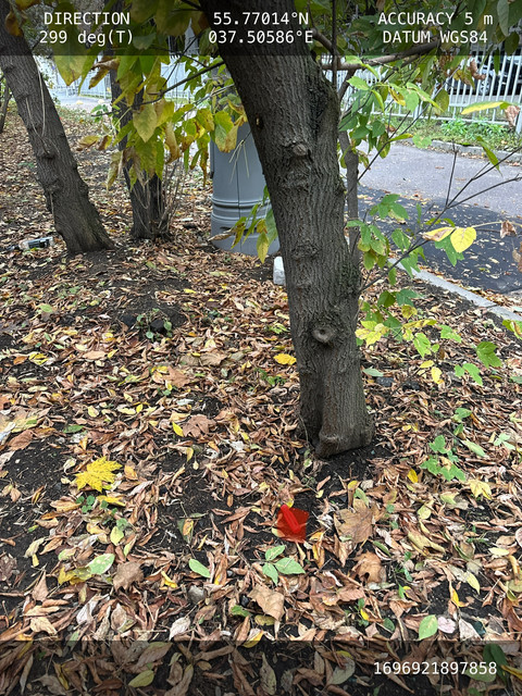 IMG-4456 hosted at ImgBB — ImgBB