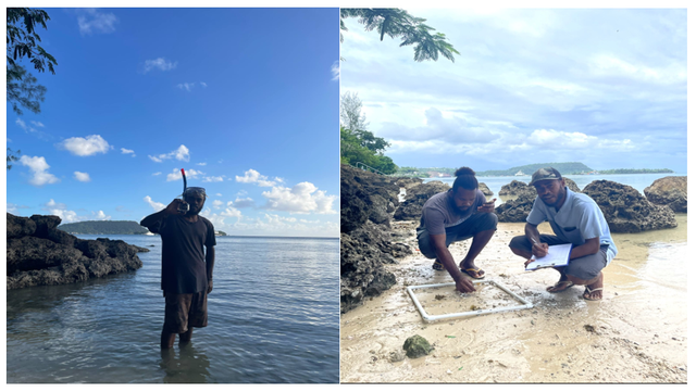 Assessing native fish species richness and abundance at Fatumaru bay in ...