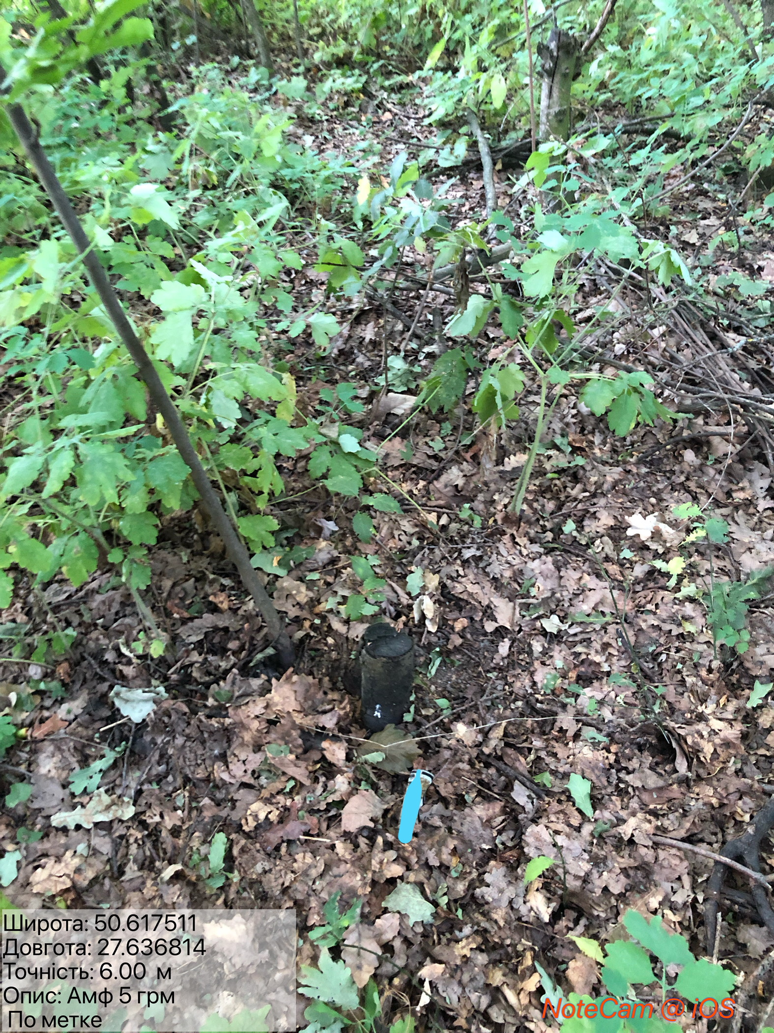 IMG-0223 hosted at ImgBB — ImgBB