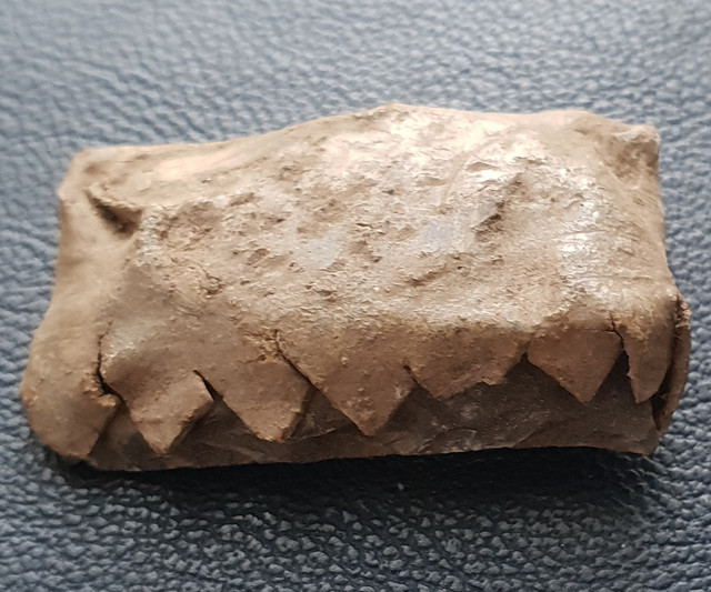 20231107-122726 hosted at ImgBB — ImgBB