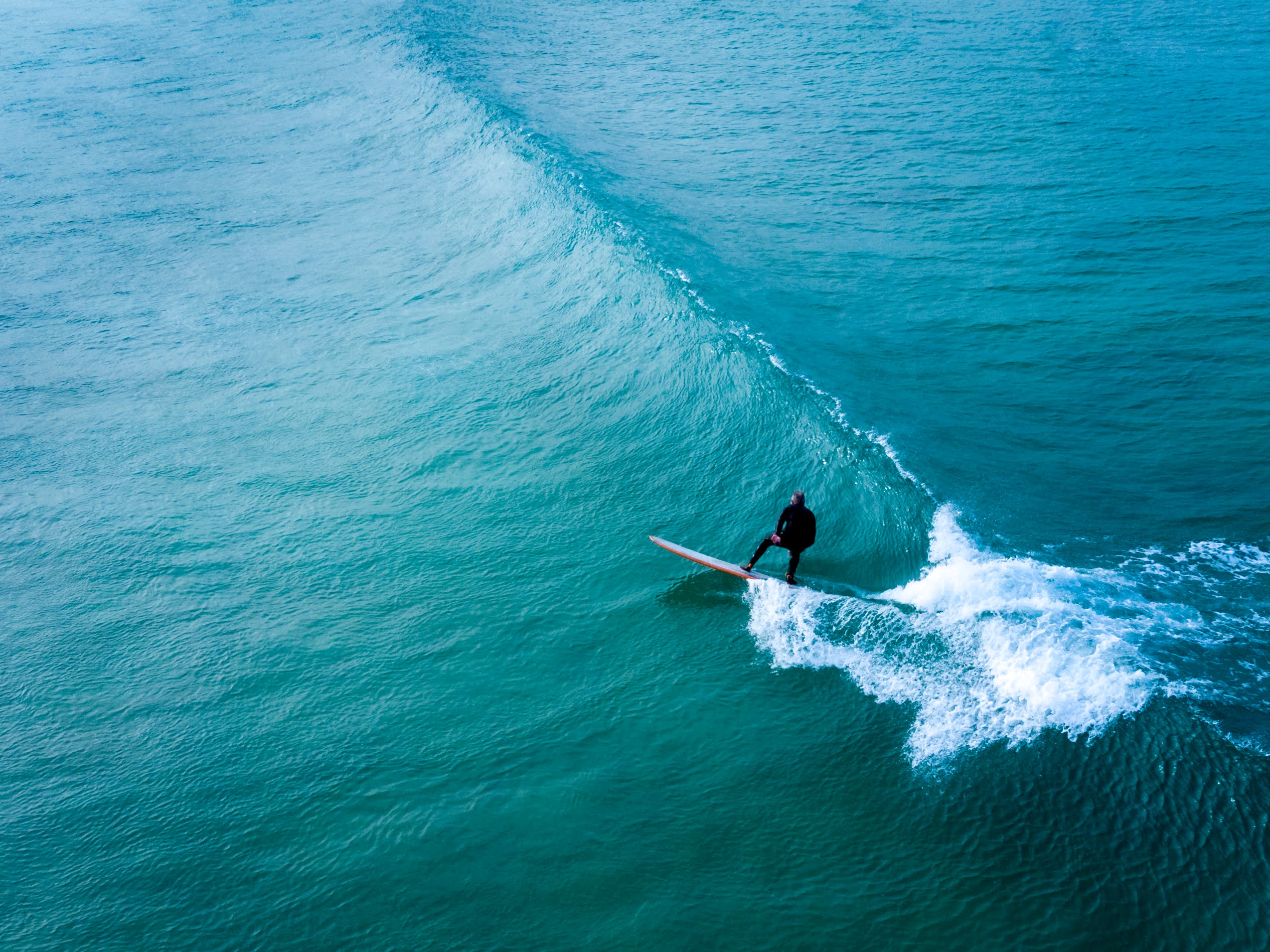 Lone-Surfer hosted at ImgBB — ImgBB